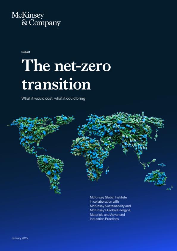 A net-zero strategy: Actions for stakeholders | McKinsey